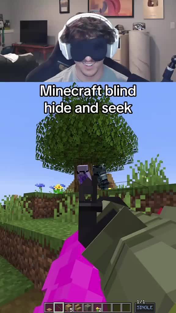 我的世界第14389期