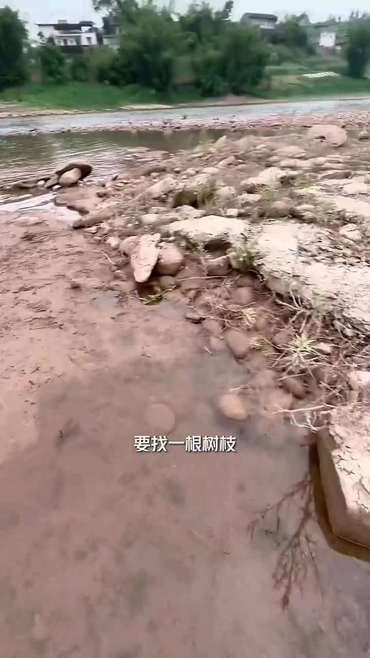 大自然的原生态 保护环境,人人有责