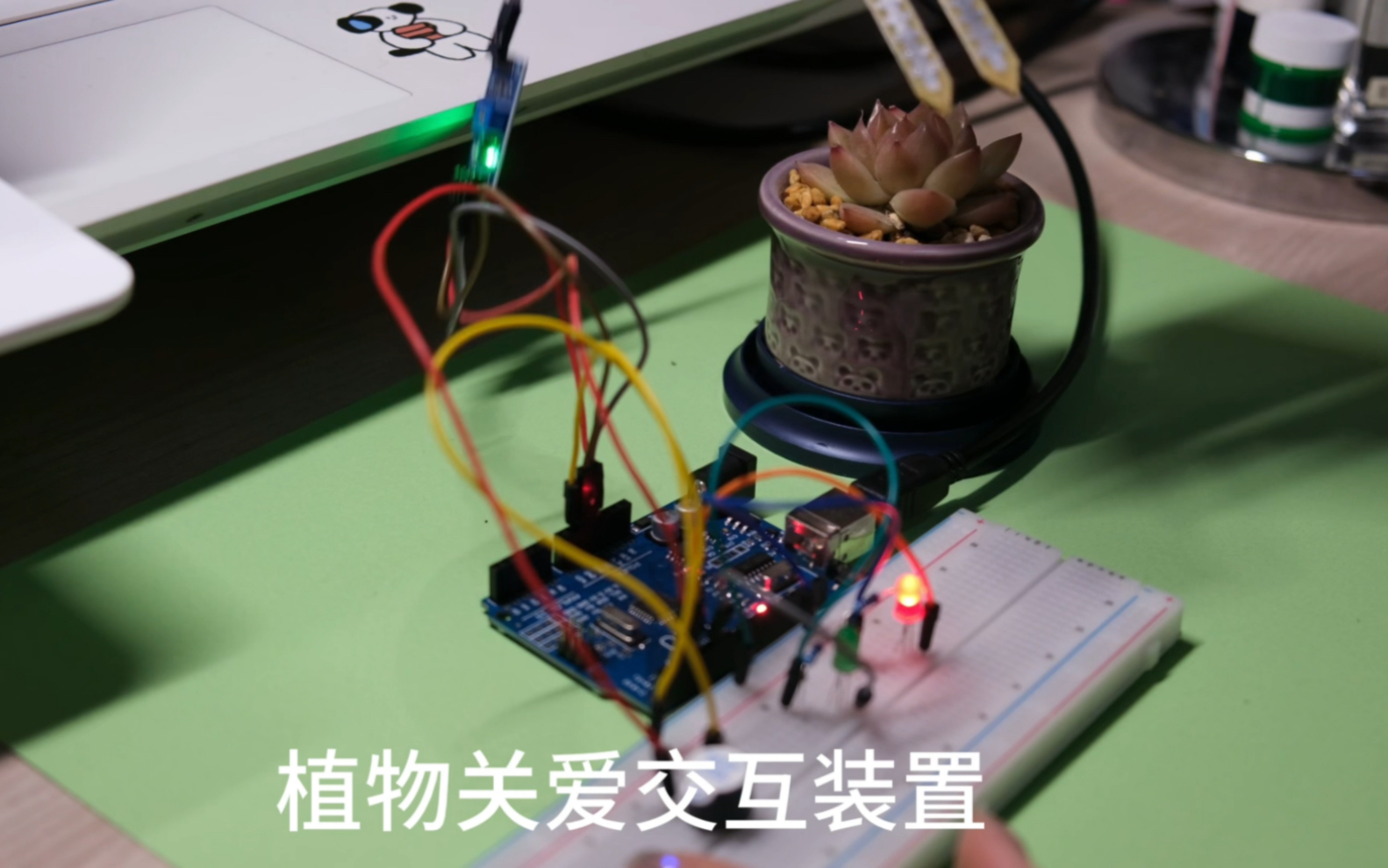 Arduino交互设计技术课程作业视频分享|植物关爱浇水提醒装置