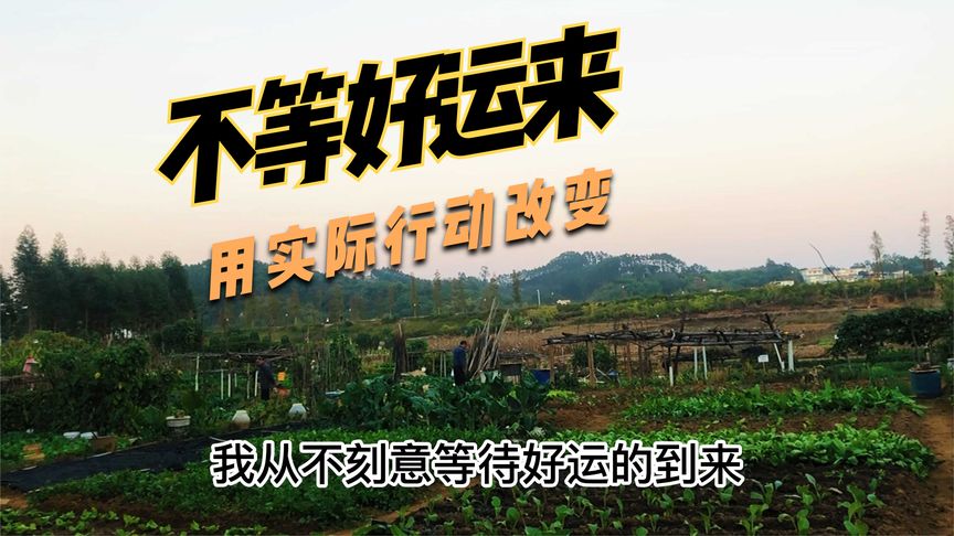 不等“好运”来,用实际行动改变