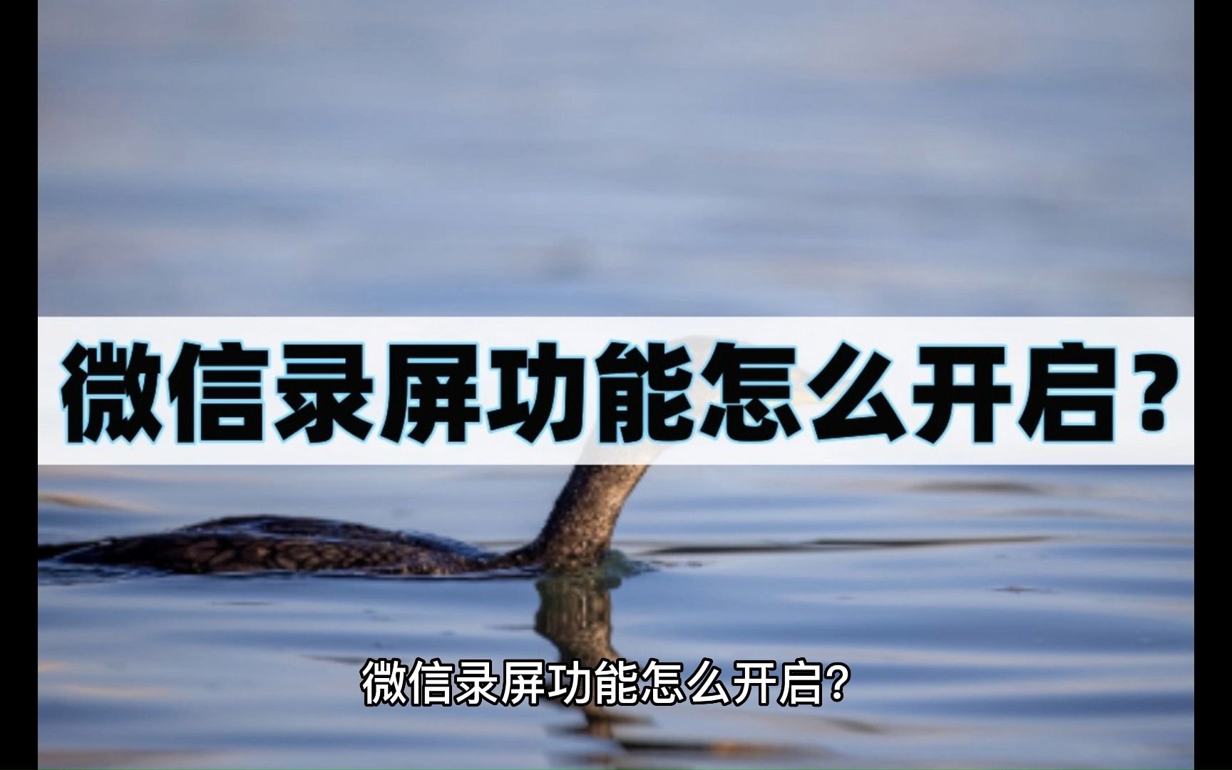 微信录屏功能怎么开启?可以试试这么做