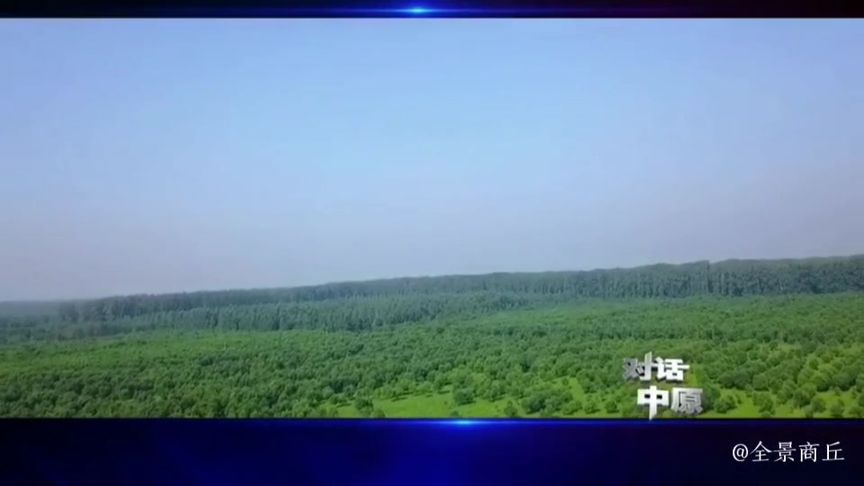 致敬!从漫漫黄沙到茫茫林海,他们在黄河故道沙丘种出7万亩绿洲