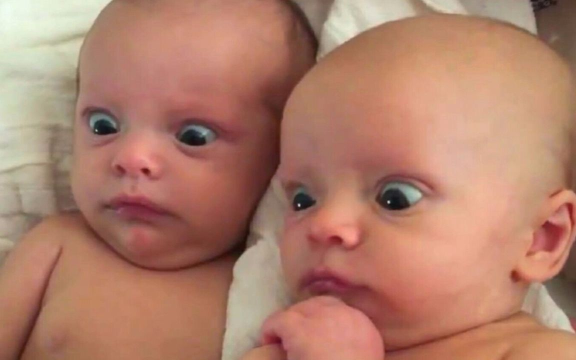 盘点2017年最奇葩的事件,笑到肚子疼