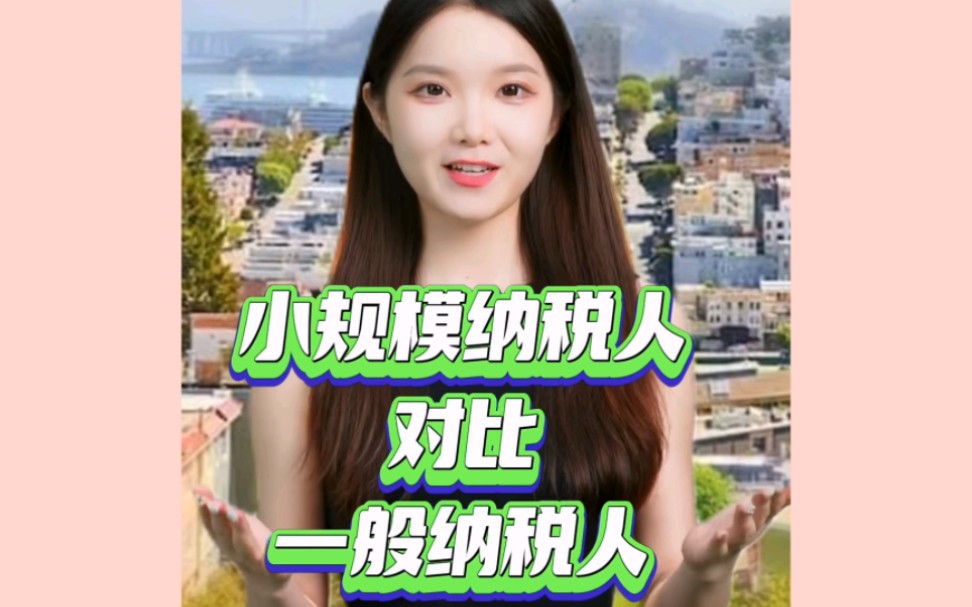 小规模纳税人VS一般纳税人税筹税务筹划税务管理策划代表办理,公司...