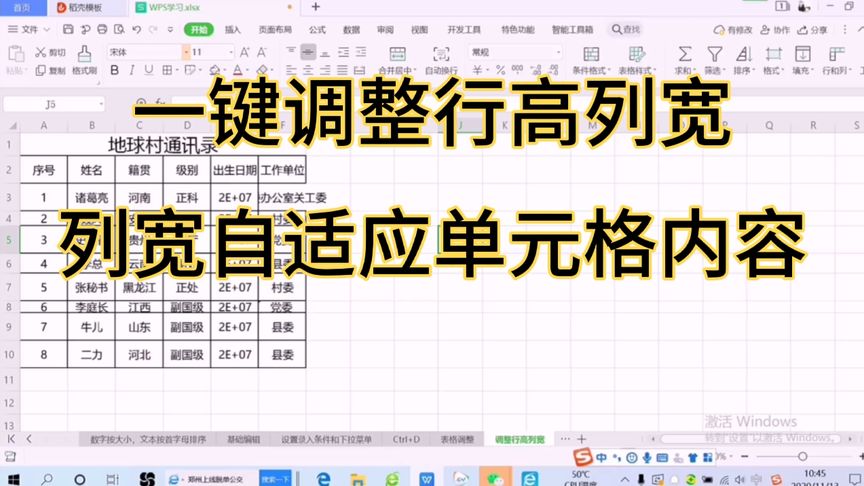WPS表格中一键调整行高列宽,列宽自适应单元格输入内容