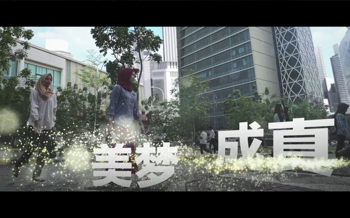 印度尼西亚--巴淡岛(BATAM)自由贸易区。