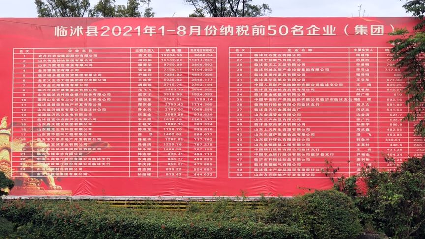 临沂:临沭县企业纳税排名,山东伟业不再是第一名,榜首是谁?