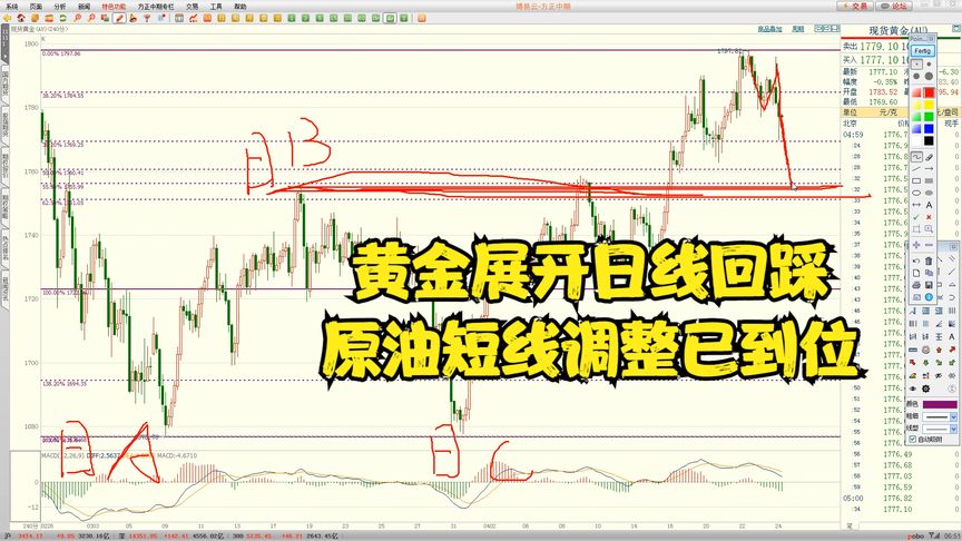 2021-04-25 总结视频 金银展开小级别调整 原油价格调整已到位