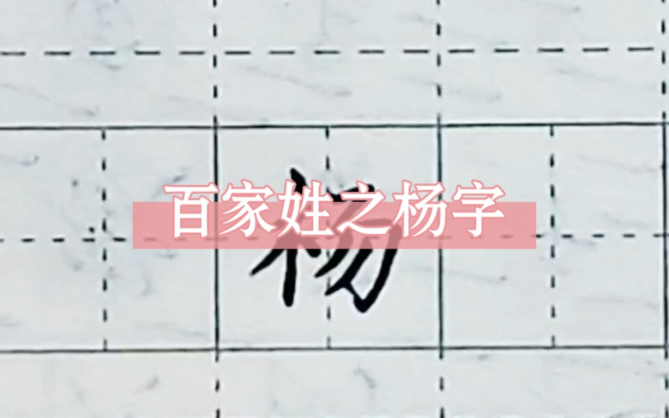【硬笔书法】百家姓系列之杨字