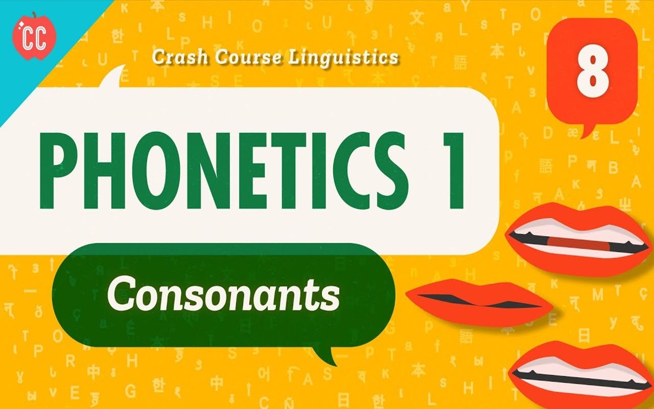 【十分钟速成课:语言学】#8 语音学—辅音 熟肉翻译 Phonetics 1 - ...