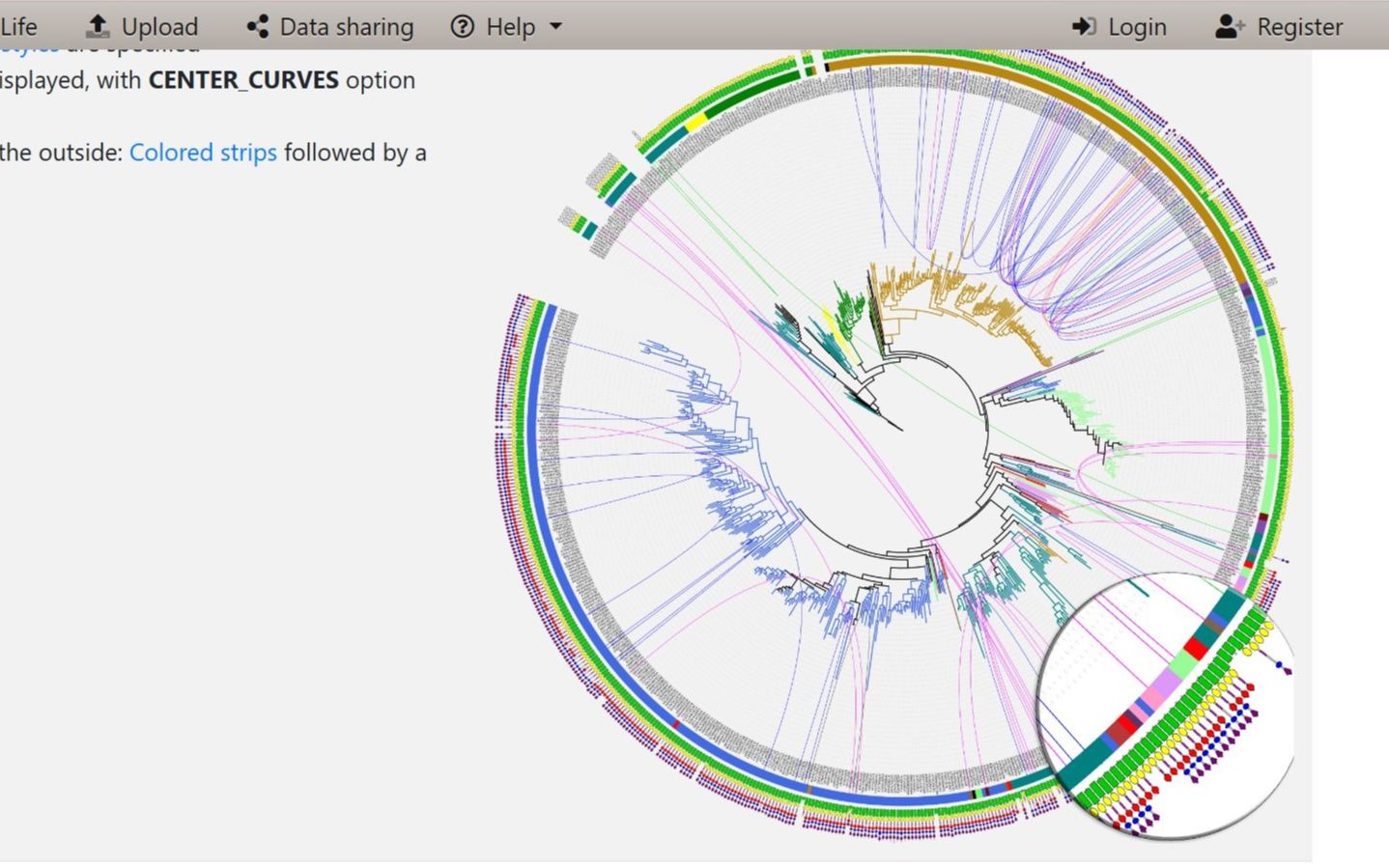 【翻译教程】网站iTOL:学习创建一个进化树吧