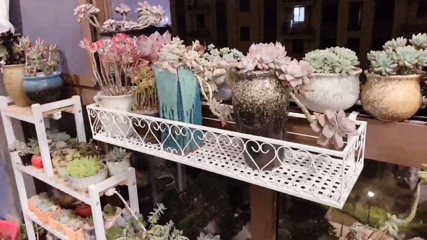 挂篮总算安装固定好可使用了,给玉坠换了高缺盆感觉别样新颖独特