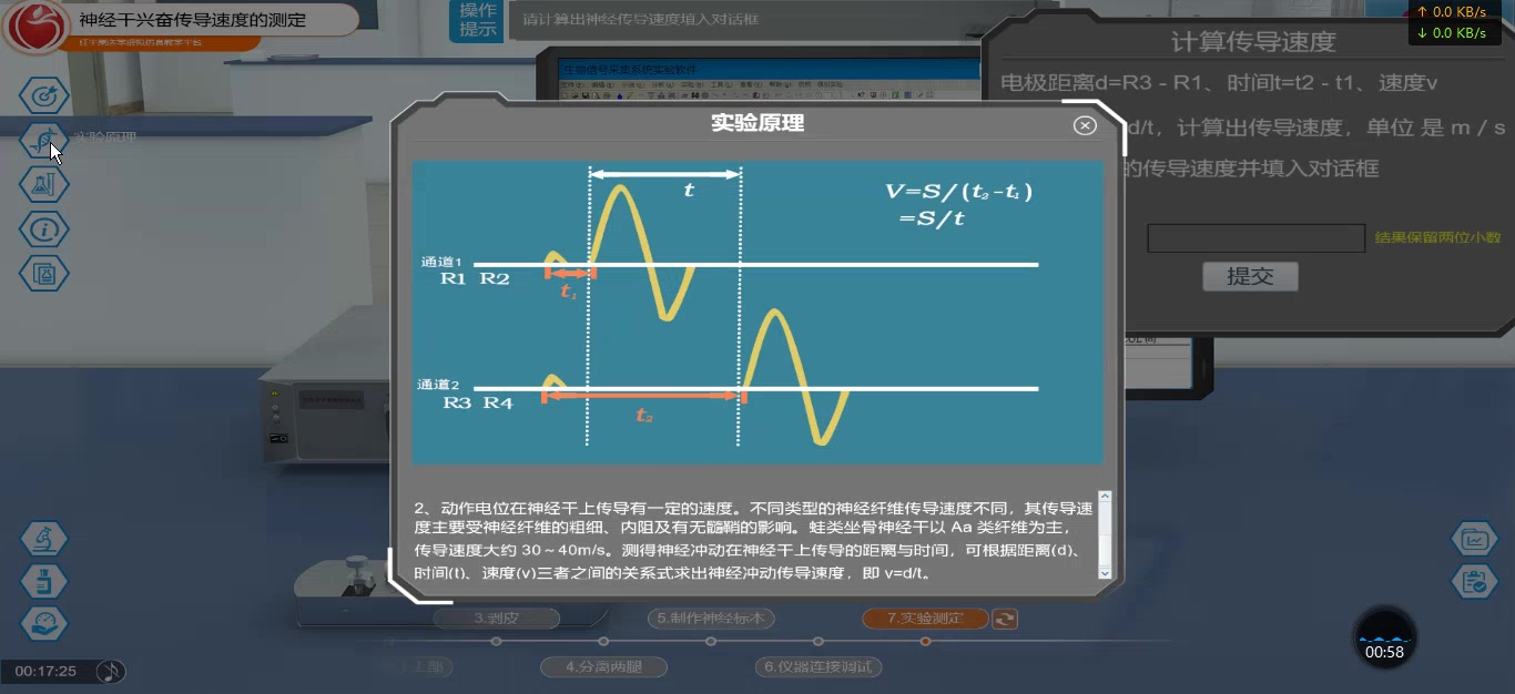 【机能实验学】实验2 神经干动作电位的观察、传导速度与不应期测定