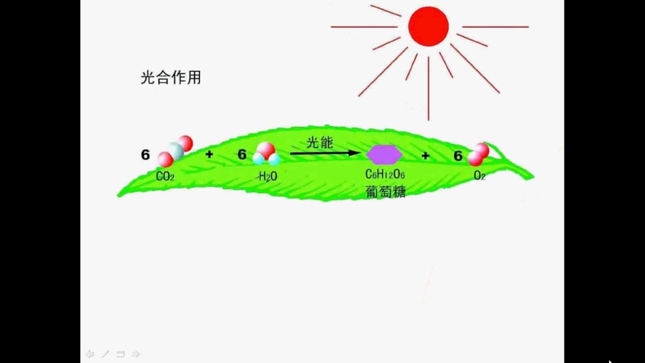 全国首届中小学教师微课(微视频)获奖作品