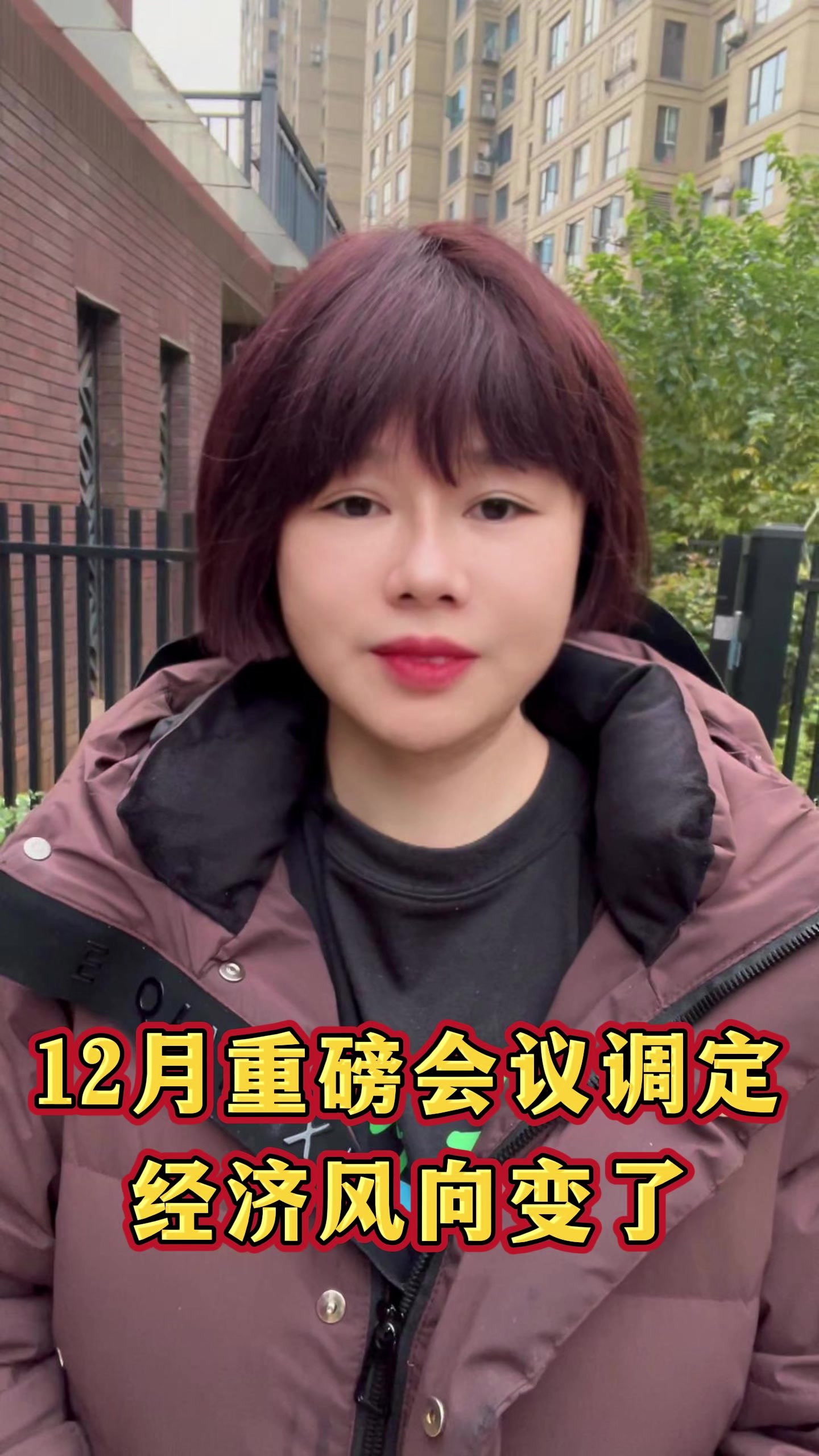 12月重磅会议调定,经济风向变了#股民交流#财经