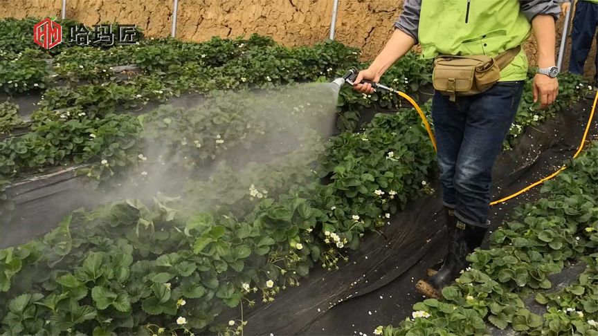 打除草要提高效果,喷雾器应选择雾化程度高的喷头