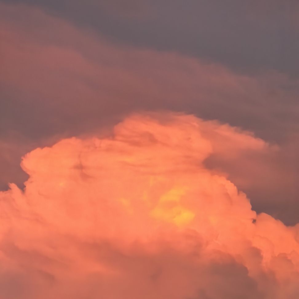 价格不敏感人士爱好者 