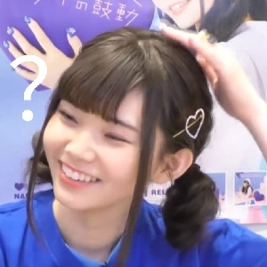 萌猫叔 
