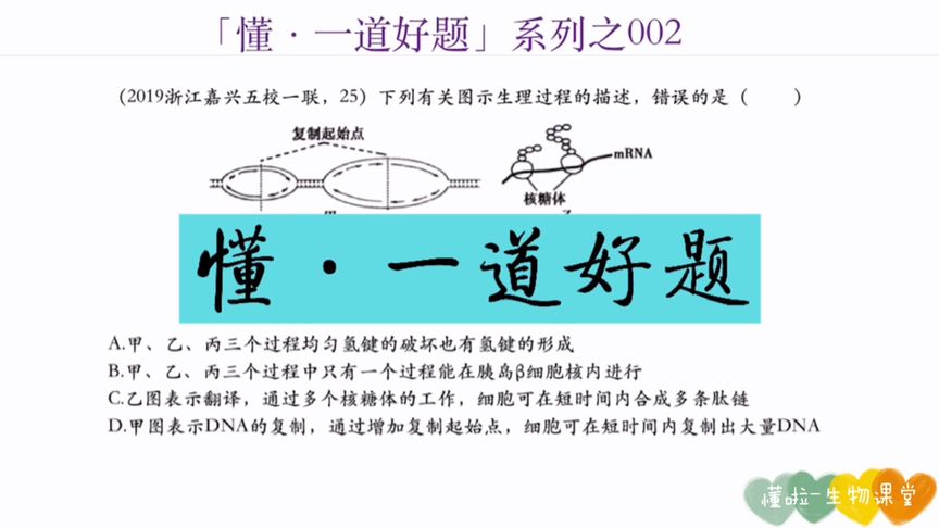 一道好题:关于DNA复制、转录和翻译中的易错点