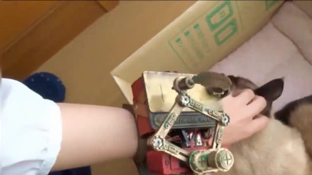 这才是真正的机械表!手腕上戴.