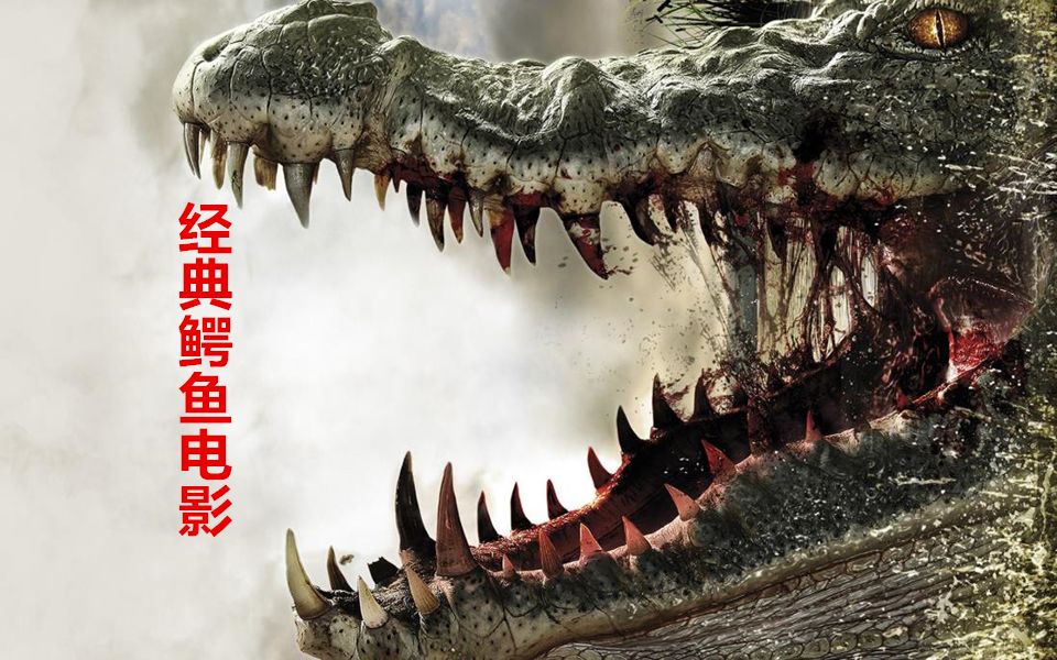 最经典的恐怖怪兽鳄鱼电影,依靠智慧鳄口逃生值得回味,其过程惊心动...