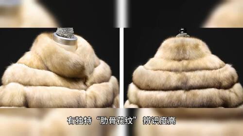 象羔皮草是什么级别