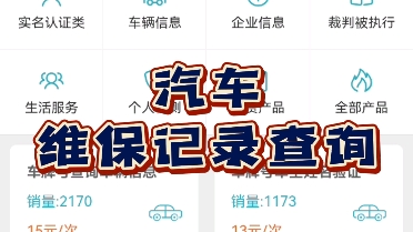 汽车在4S店的维修保养记录查询