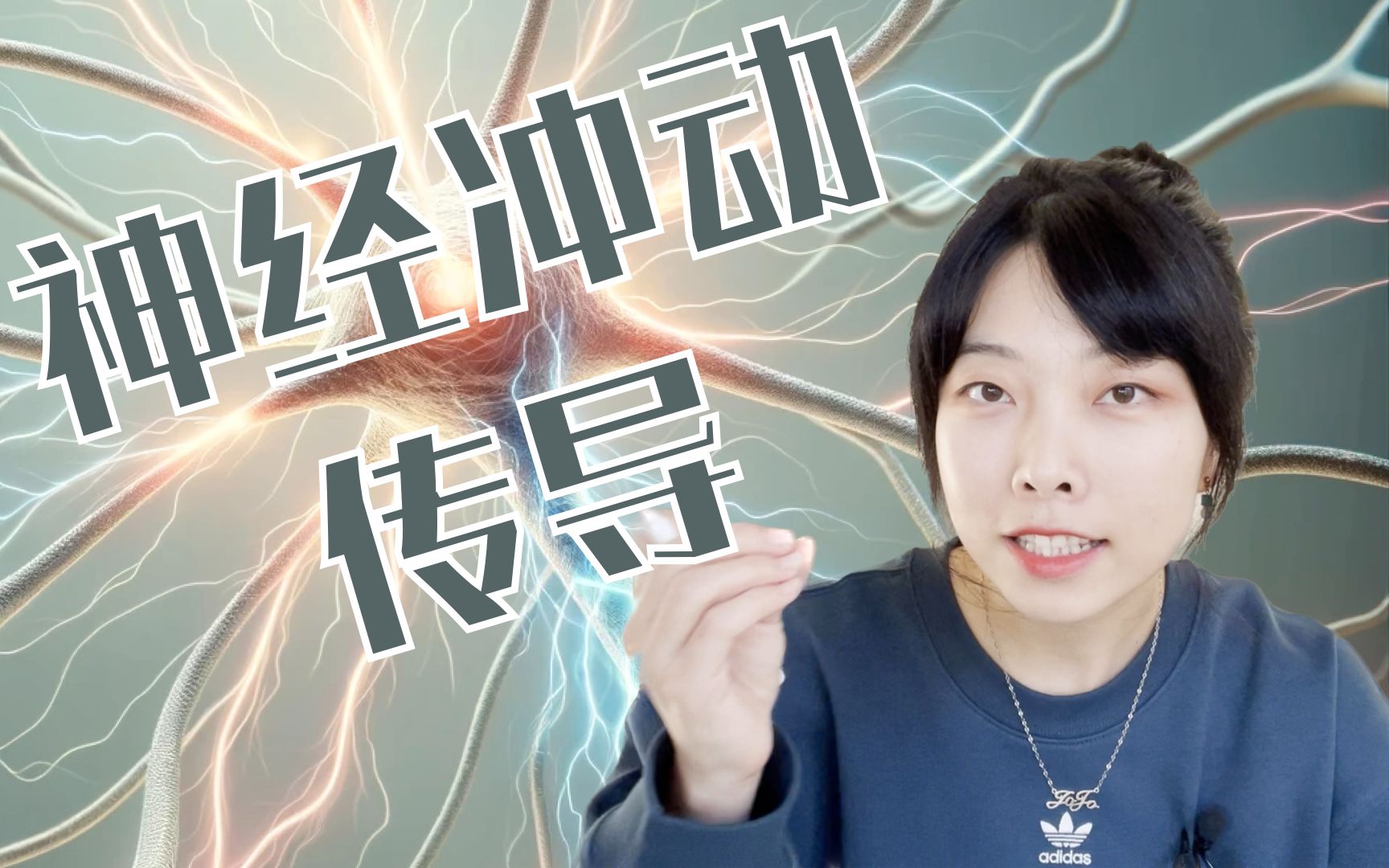 2.6【神经调节】神经冲动的传导|局部电流学说《选必一》