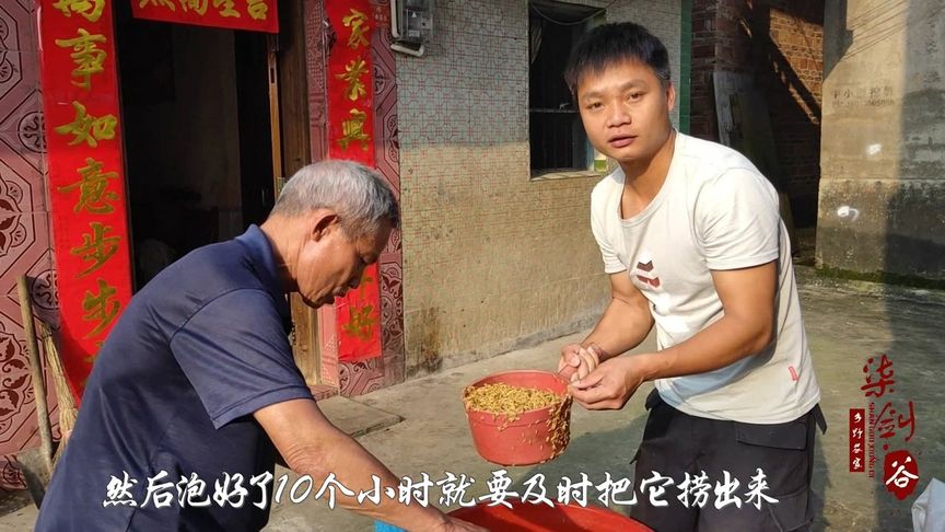 一粒小稻芽如何长成大米?看农村小伙催芽过程就知道了