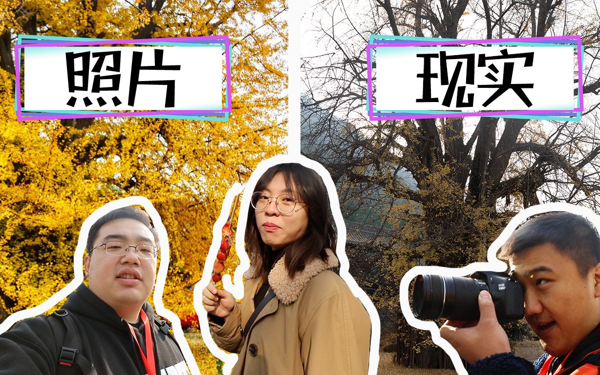 终南山观音禅寺,看唐太宗亲手种的银杏树