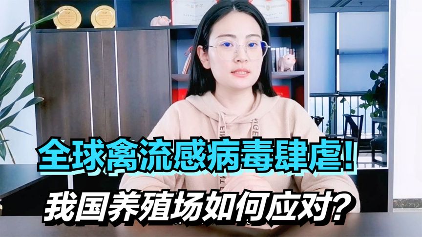 全球禽流感病毒肆虐,韩国拉响高级别警报!我国养殖户如何应对?