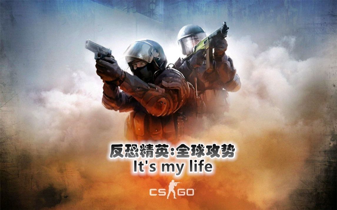 反恐精英:全球攻势CSGO-It's my life