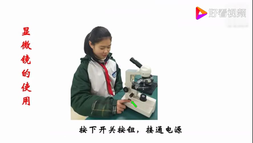 显微镜使用教学