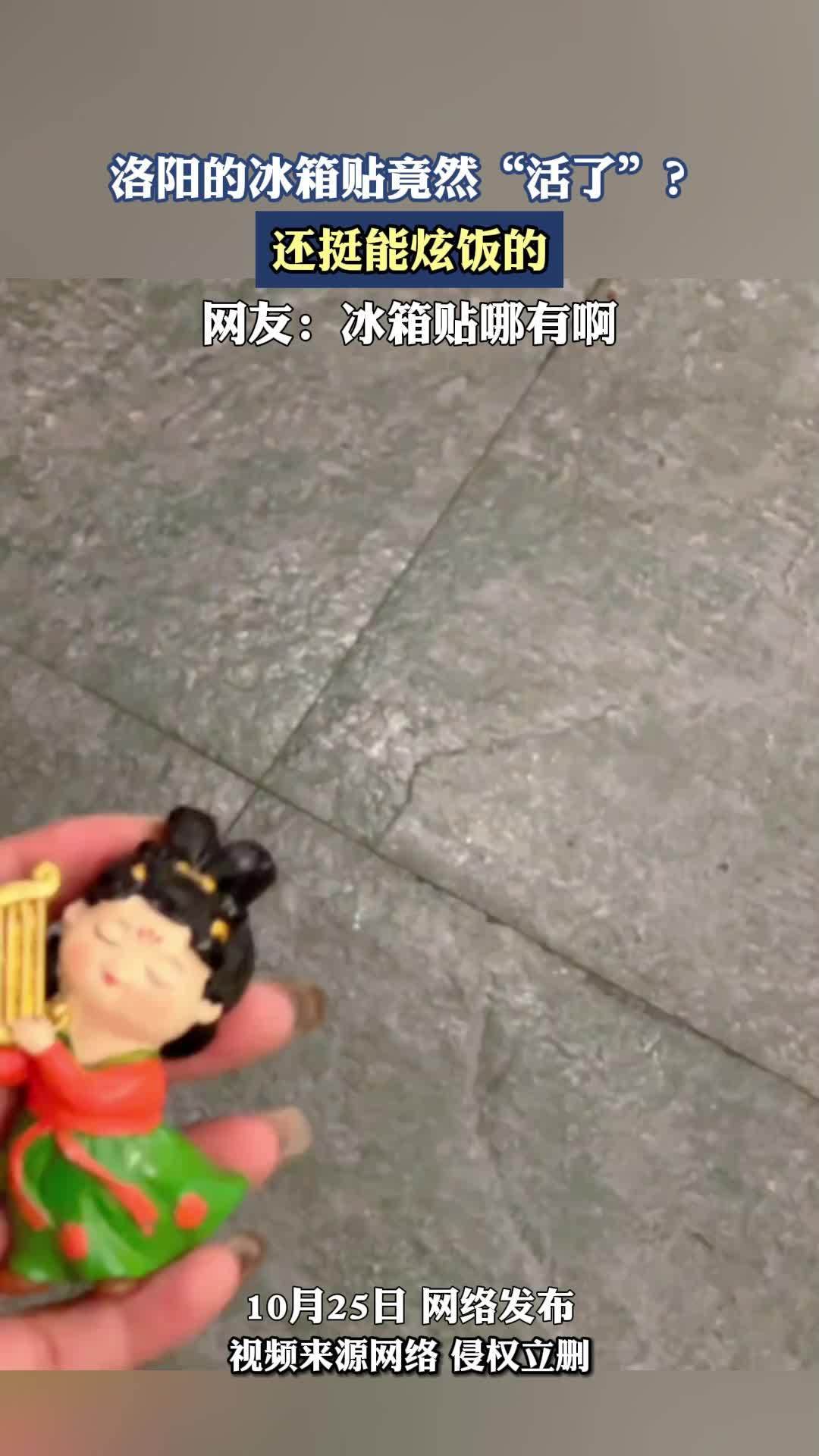 洛阳的冰箱贴竟然"活了"?还挺能炫饭的。