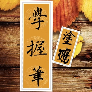 握笔矫正赵老师 