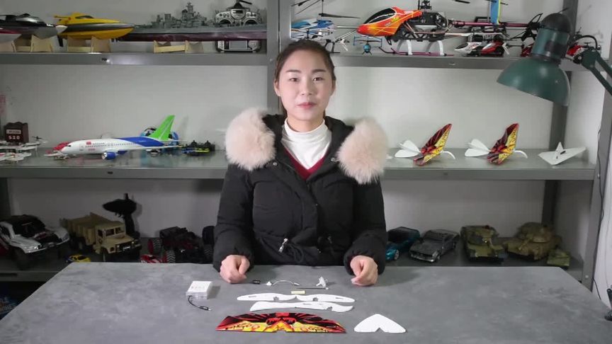 电动扑翼和平鸽,学生航模培训套材,精心设计,简便易做