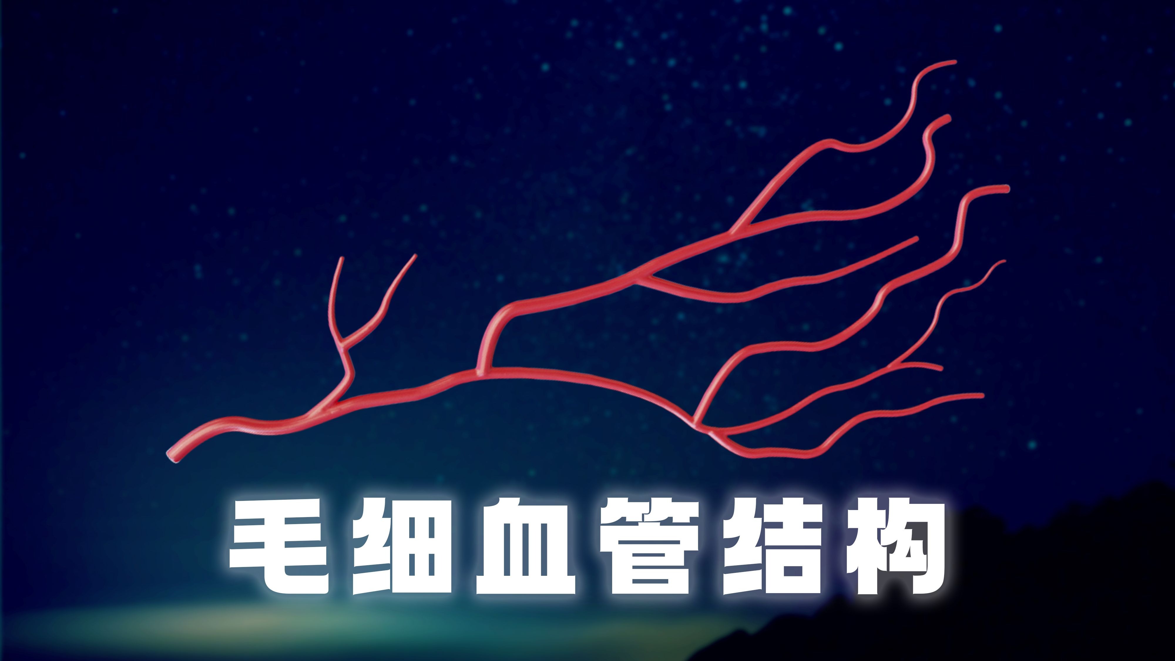 C4D科研绘图案例-毛细血管结构
