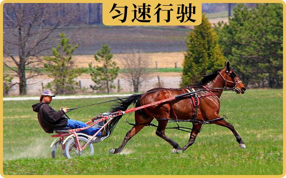 车上的定速巡航到底怎么用