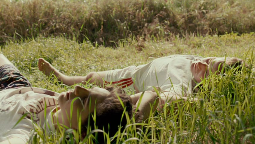 请以你的名字呼唤我Cut