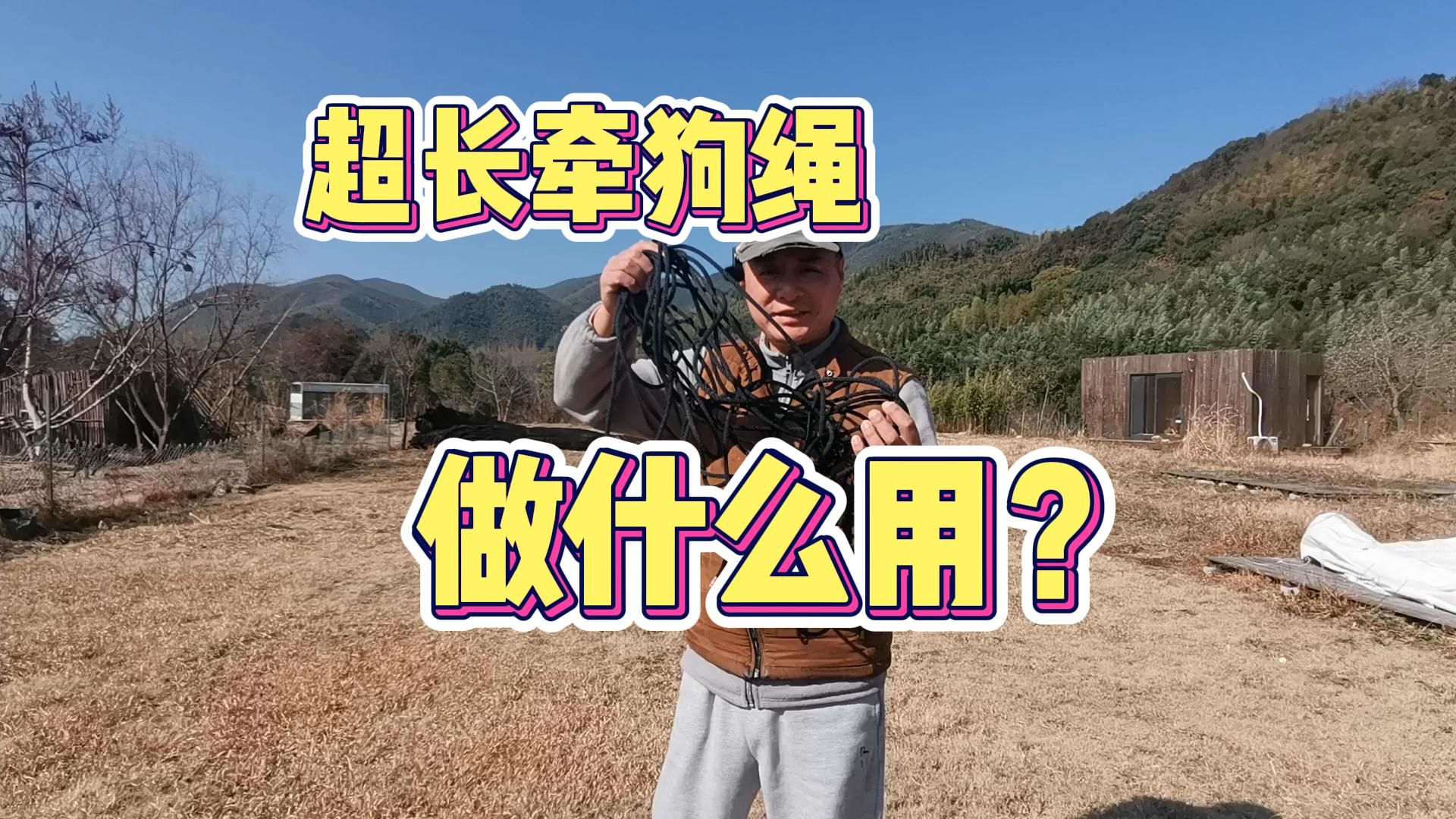 超长牵狗绳对家庭有什么用处