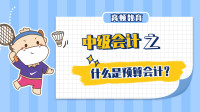 中级会计:什么是预算会计?