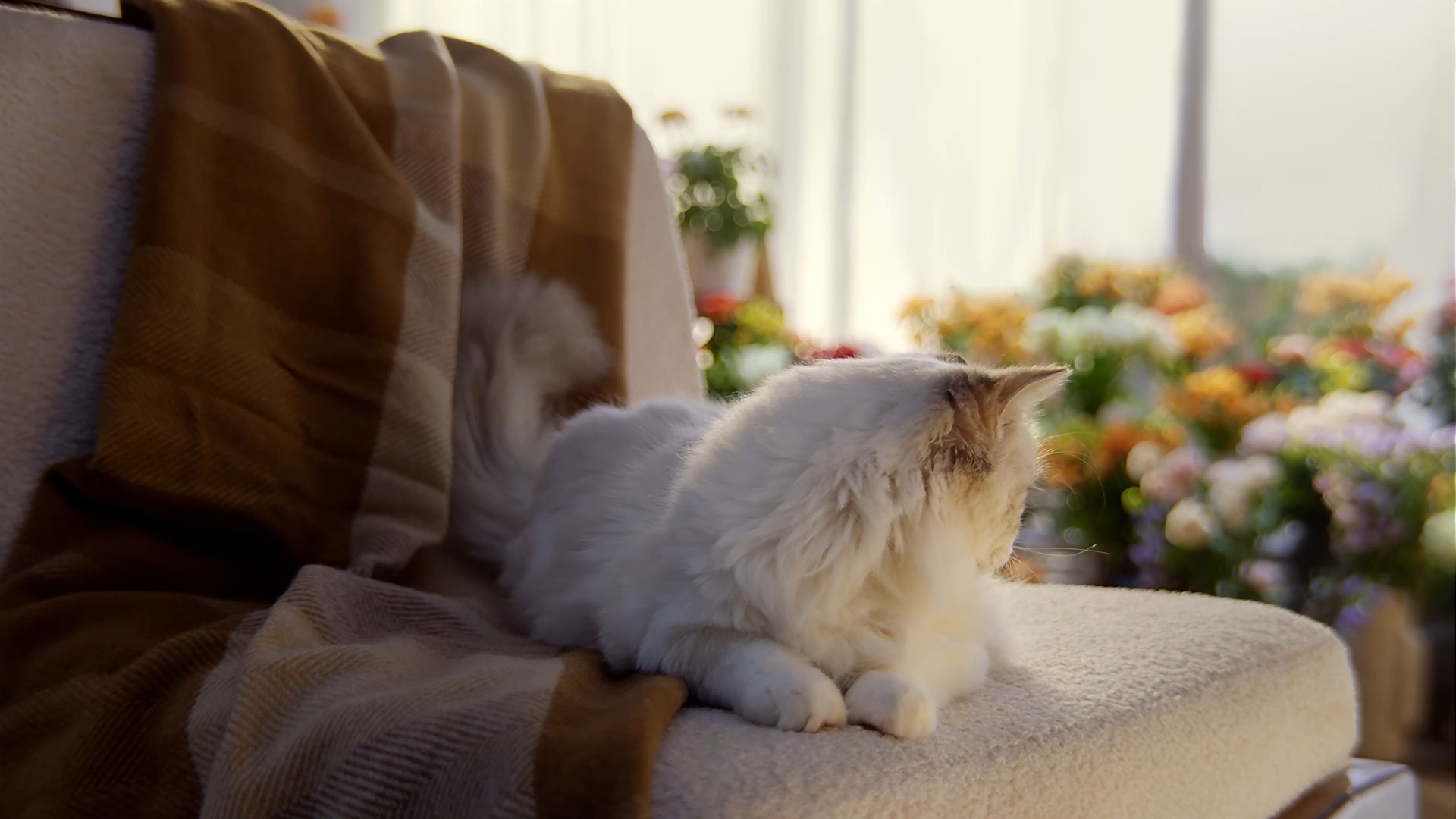 华为 Vision 智慧屏 5!75 英寸 Super MiniLED,国补款画质绝