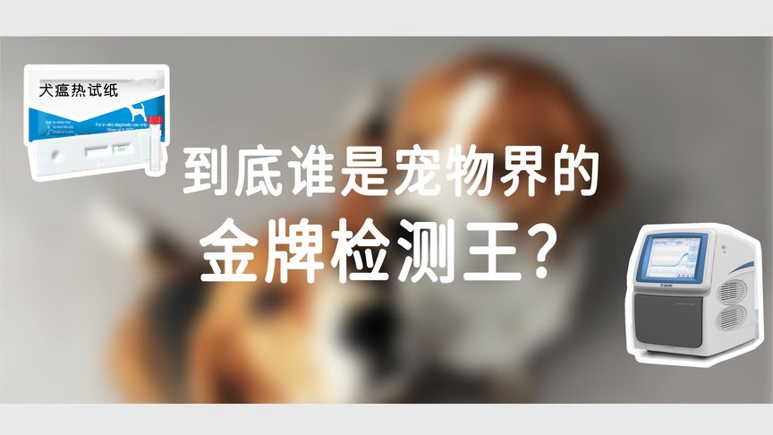【科普】到底谁才是宠物界的金牌检测王?胶体金试纸对比PCR检测