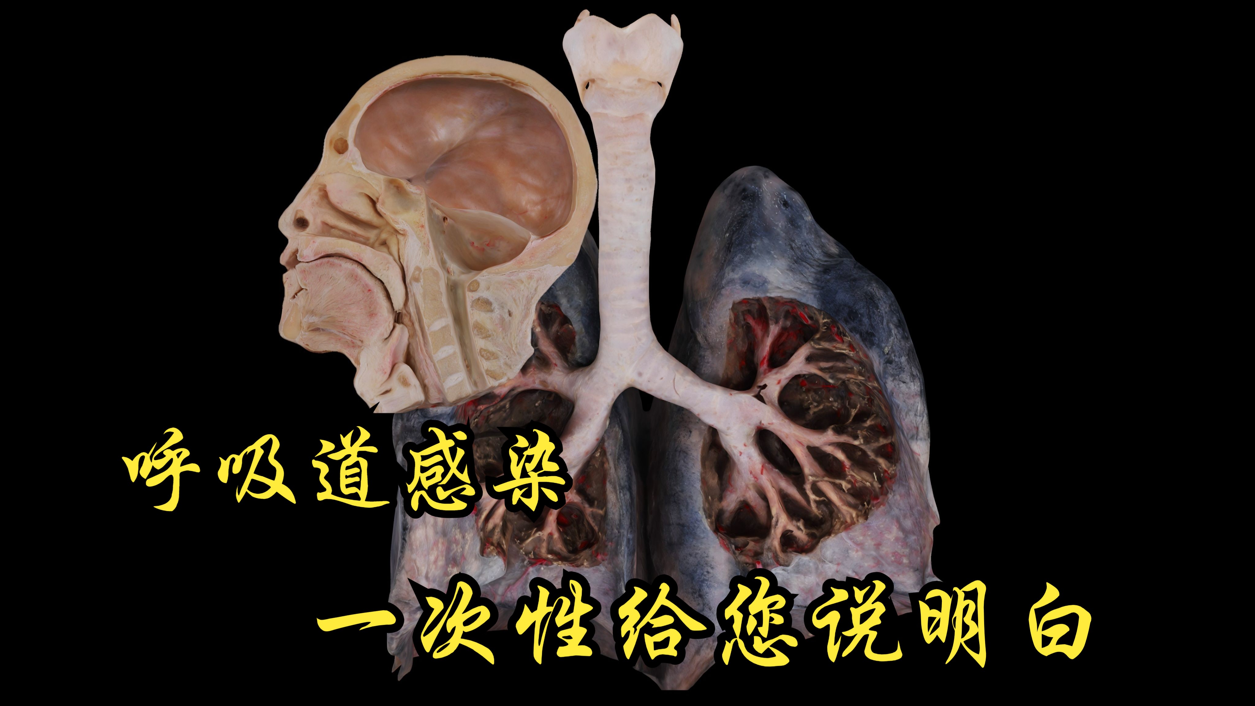 呼吸道感染,病名那么,一次性给您说明白