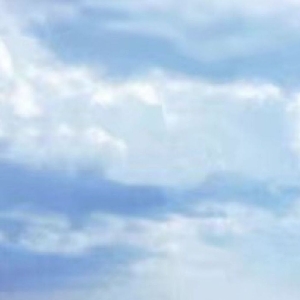 林苑风清 