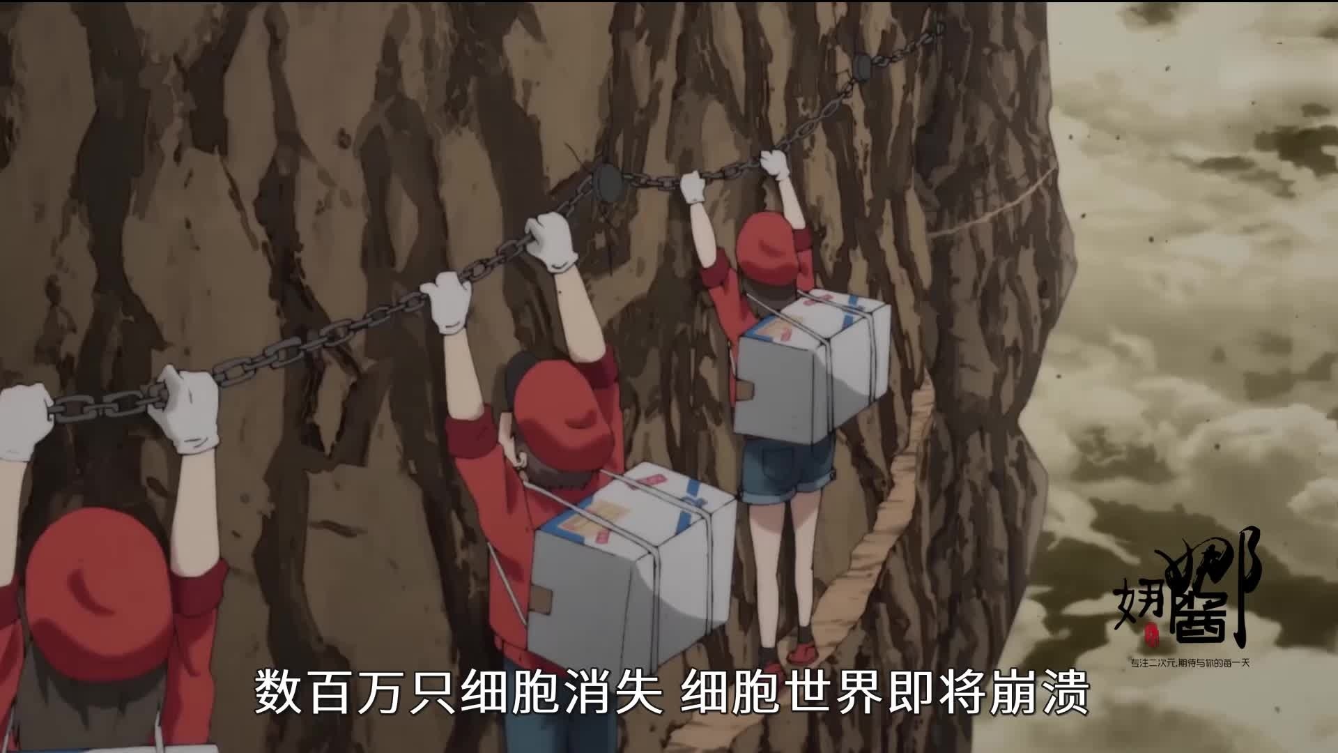 动画:身体面临生死危机,没想到细胞竟然这么努力,拼命运输氧气