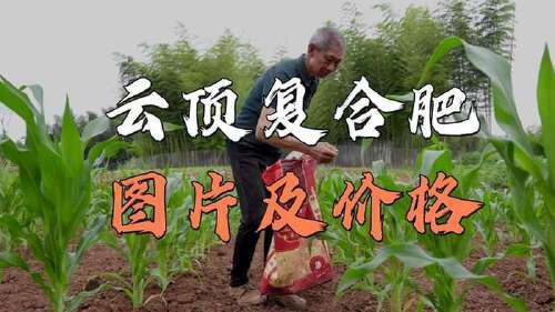 云顶复合肥价格曝光!一图看懂多少钱,省钱攻略来了