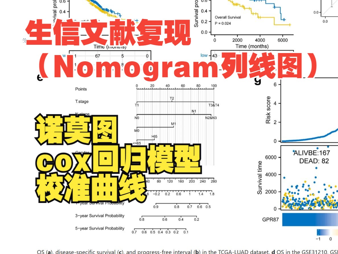 生信文献复现|Nomogram诺莫图列线图临床预测模型预测135年生存率...