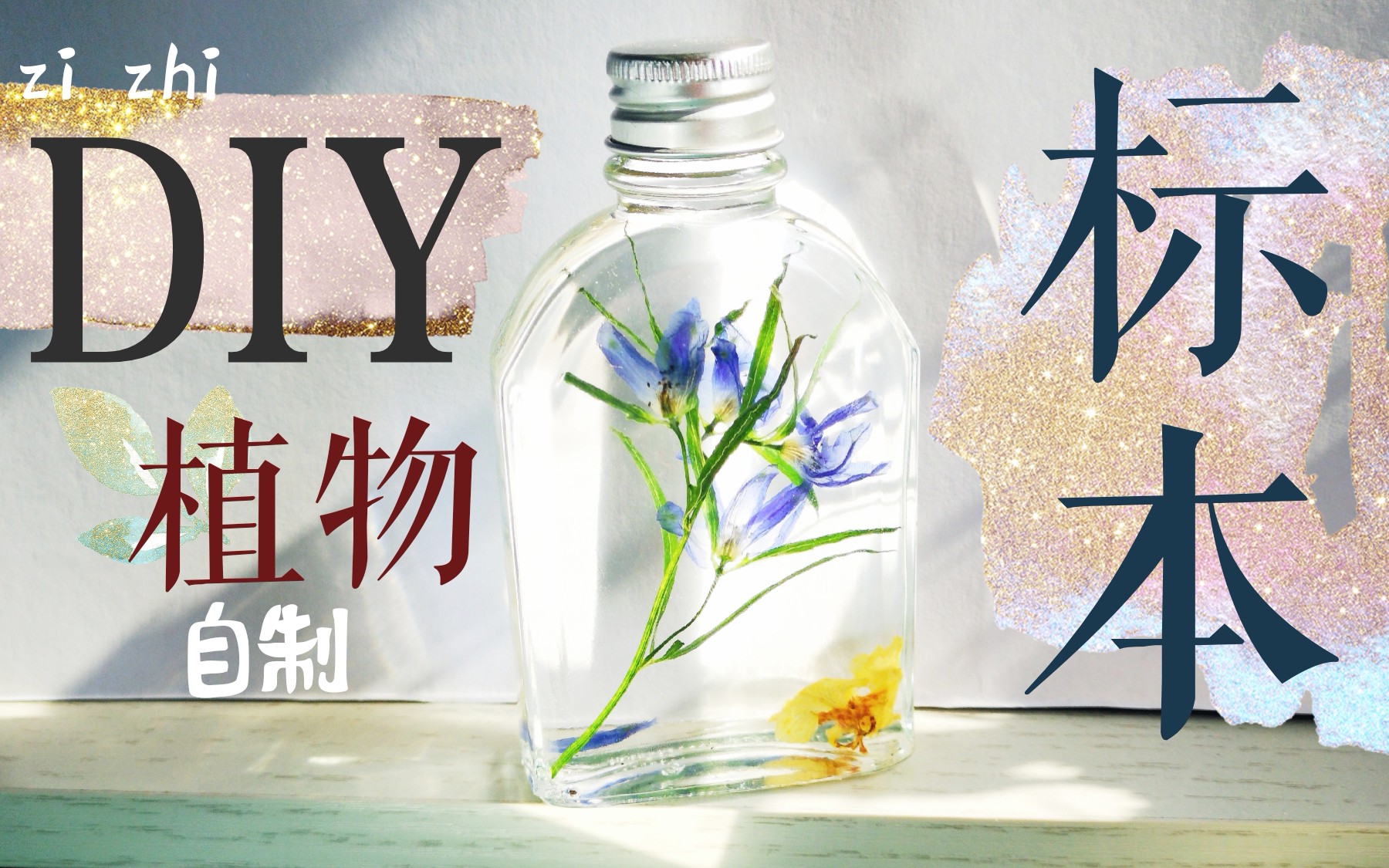 【手工】只需三步,自制小清新植物标本。
