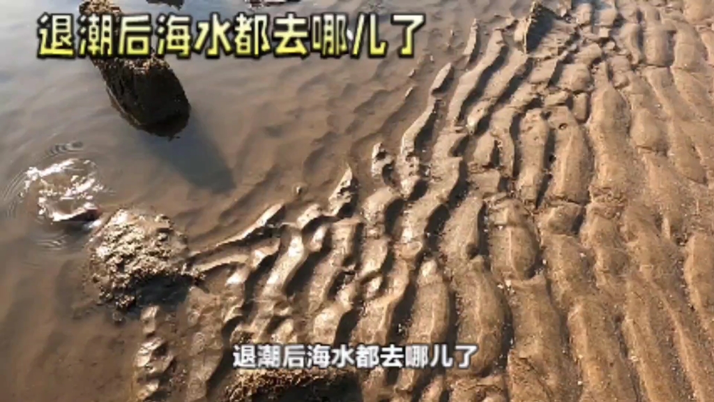 海水涨潮退潮揭秘:涨潮落潮如何产生的,退潮后的海水都去哪儿了